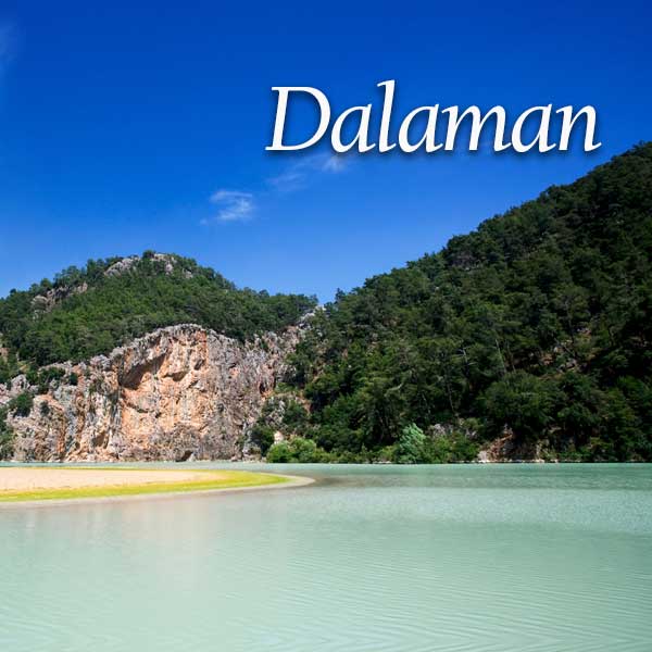 Book Your VIP Airbus Airport Transfer Service | MAVI AIR