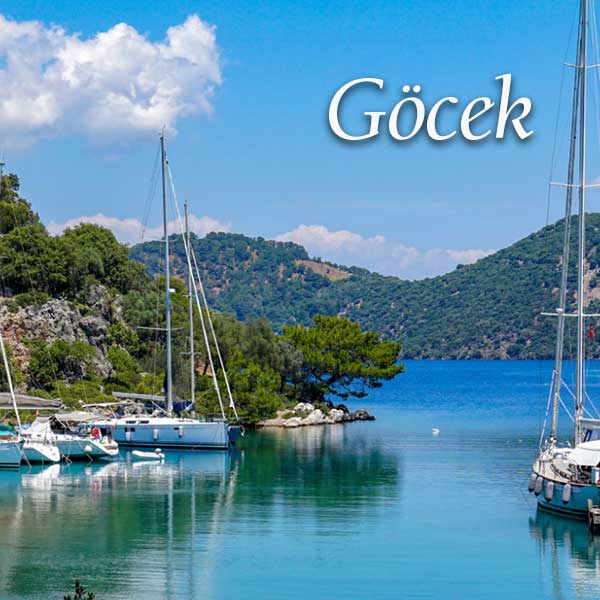 Book Your VIP Airbus Airport Transfer Service | MAVI AIR